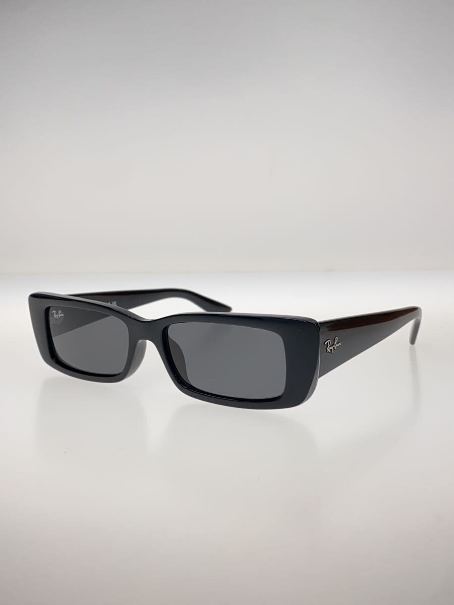Ray-Ban(レイバン) / TERU BIO-BASED/サングラス/プラスチック/BLK/BLK/メンズ/RB4425F | 中古品の ...